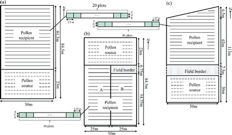 Field Design And Sampling Plots Layout For The Experiments Crop Download Scientific Diagram