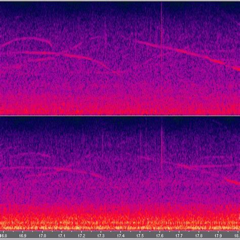 Above Example Of A Matlab 61 Spectrogram With Whistle Marking