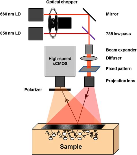 Schematic Of Dual Wavelength Csfdi Light From Two Coherent Light Download Scientific Diagram