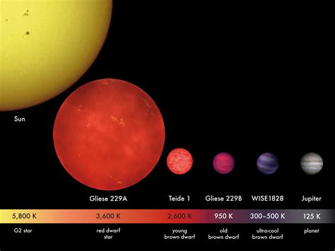 File BrownDwarfs Comparison 01 Png Wikimedia Commons