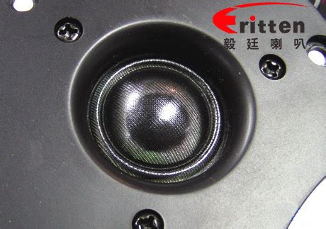 东莞高音喇叭厂分享球顶式扬声单元的特点