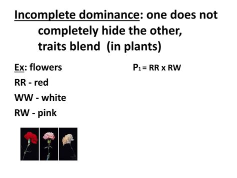 PPT Codominance And Incomplete Dominance In Genetics PowerPoint Presentation ID