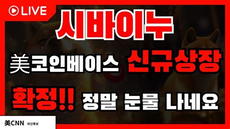 시바이누 눈물의 상장 고생 많으셨습니다 시바이누 시바이누코인 Youtube