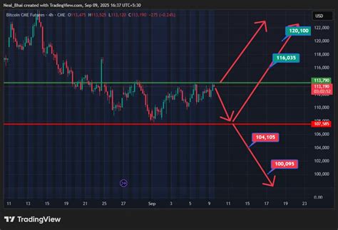 Bitcoin Price Forecast H4 Timeframe Analysis [09 Sep 2025] Gold Silver Reports