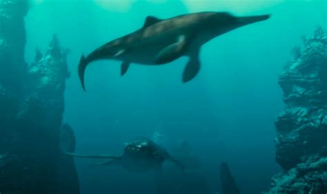 Ichthyosaurus Fish Lizard