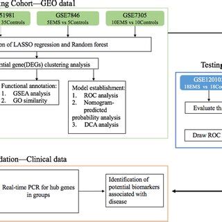 Overview Of The Study Workflow Download Scientific Diagram