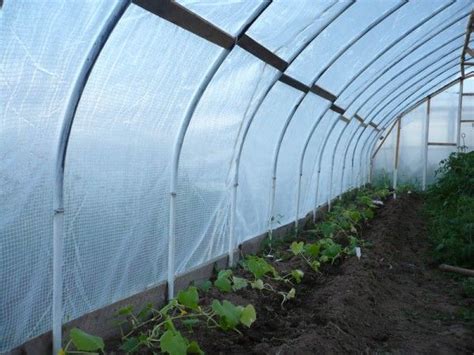 Парник из дерева и полипропилена | Greenhouse, Structures, Garden