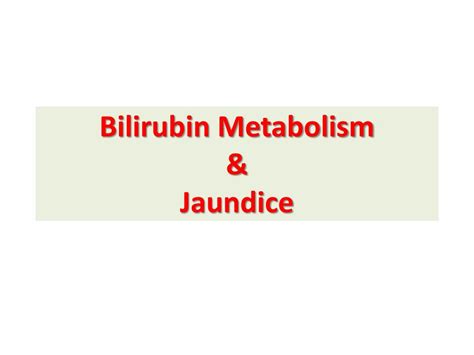 Ppt Bilirubin Metabolism And Jaundice Powerpoint Presentation Free