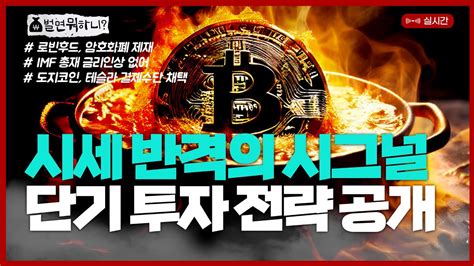 벌면뭐하니 Ep30 코인 시세 반격의 시그널 초단기 투자 전략 공개 최혜윤 김로이 도지 알트코인 비트코인 이더리움 코인상담 여의도머스크 Youtube