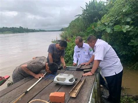 Warga Bumi Ayu Dihebohkan Penemuan Buaya Besar Dutametro