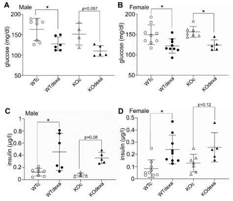 Dexamethasone Administration In Mice Leads To Less Body Weight Gain