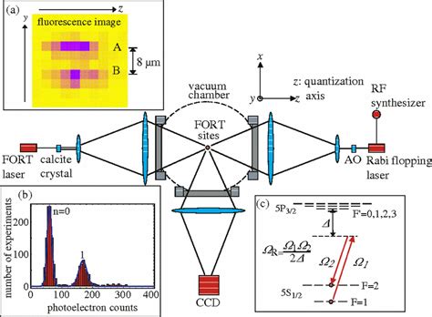 The Experimental Setup Two Tightly Focused Beams That Spatially Download Scientific Diagram