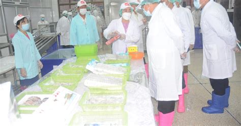 မြိတ်ဒေသ၌ ပုစွန်မွေးမြူရေးလုပ်ငန်း ဧက ၂၀၀၀ ခန့်ရှိပြီး ဧက ၆၀၀ ခန့်သည် Gaqp ဂျီအေကျူပီ ကျင့