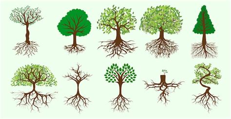 Premium Vector A Collection Of Trees And Grass With A Sky Background