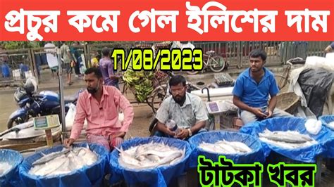 হঠাৎ প্রচুর কমে গেল ইলিশের দাম।। ইলিশের নিউ আপডেট 17082023 Hilsa