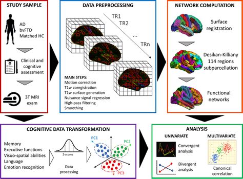 Workflow Of The Methodology Patients And Controls Underwent An