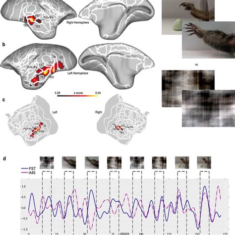 Eye Movement Patterns In Goal Directed And Non Goal Directed