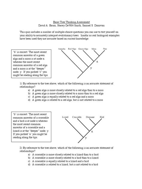 Tree Thinking Answers Pdf Phylogenetic Tree Plants