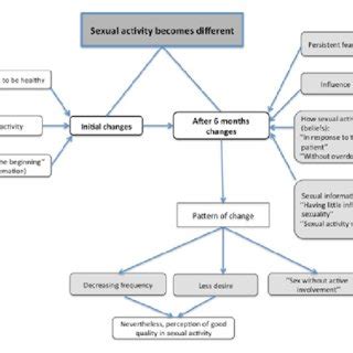 Conceptual Map That Represents The Changes In Sexual Activity As Download Scientific Diagram