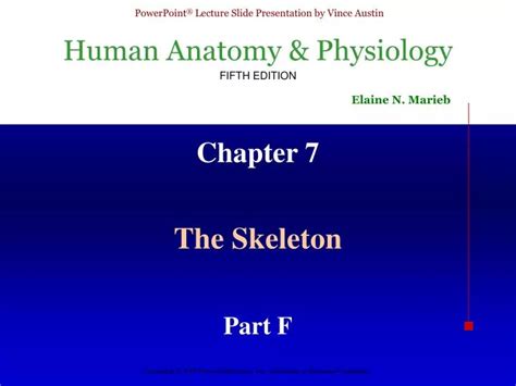 ppt chapter 7 powerpoint presentation free download id 3130180