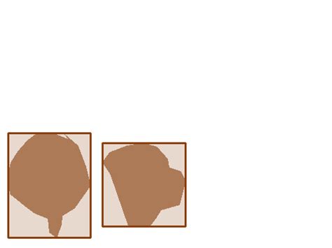Coco 2017 Dataset Ninja