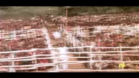 Smt Indira Gandhi Last Speech Youtube