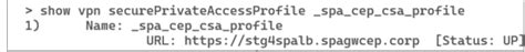 Triage And Troubleshoot Citrix Secure Private Access™ Hybrid Deployment