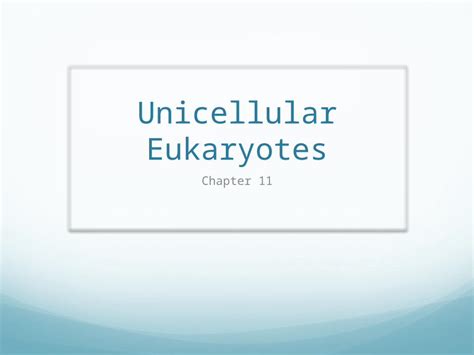 Pptx Unicellular Eukaryotes Chapter 11 Emergence Of Eukaryotes First Evidence Of Life Dates