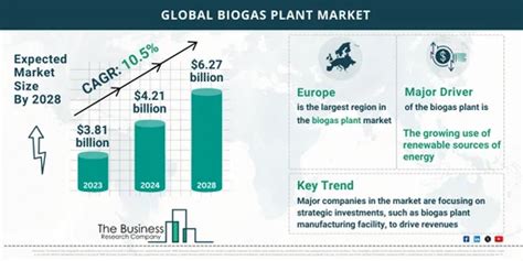 Market Research Infographics On Biogas Plant Market Report