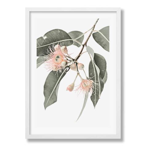 Eucalyptus Wall Art Print Vibrant Australian Native Decor
