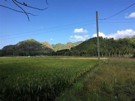 View Sa Likod Ng Bahay Ng Lolo Ko Sa Batangas Rtanawin