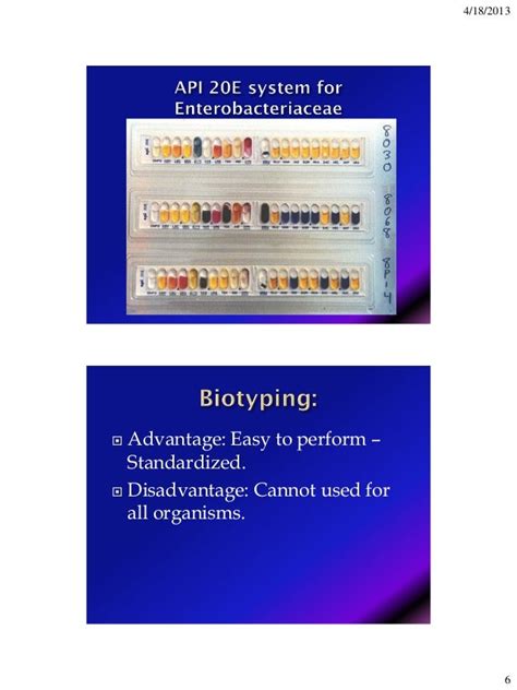 Methods For Bacterial Typing