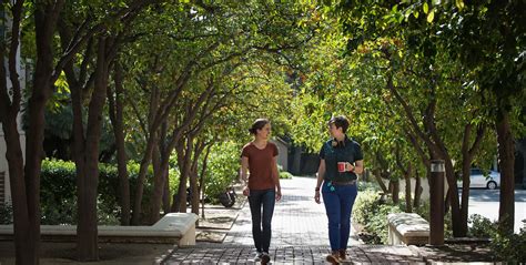Nsf Research Fellowships Awarded To Caltech Students And Alumni