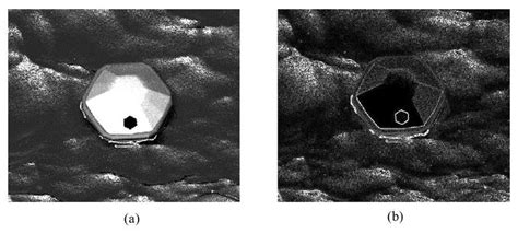 A Sample Of Psn 10 Image A The Source Grayscale Image B The