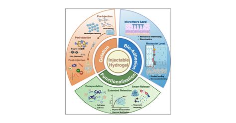 Injectable Hydrogels In Situ Tissue Engineering Strategies For Cartilage Repair And