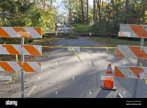 Yellow Tape And A Roadblock Fence Block Access To A Road Where A Large Tree And Utility Wires