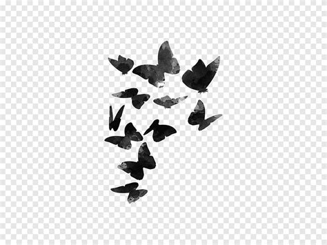 فيديو Picsart Studio Instagram ، ملصق الفراشة أخرى ملصق Png