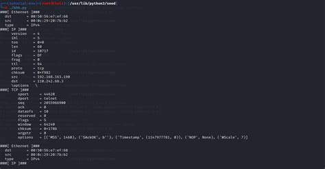 信息安全 Seed Lab10 Packet Sniffing And Spoofing Lab Ssssspm 博客园