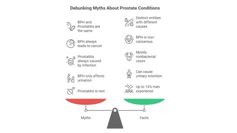 Bph Vs Prostatitis An Expert Urologists Analysis