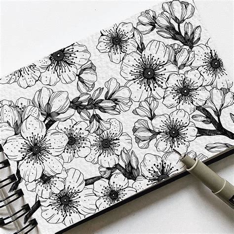 142k Likes 79 Comments Alice Alicelovesdrawing On Instagram