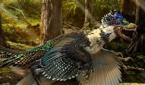 Discovering A New Dinosaur Helped Us Prove Velociraptors Had Feathers