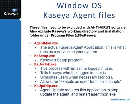 Kaseya Agent Procedure Execute File Hidden With Prompts Mcseoseofa