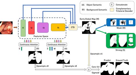 Adaptation Of Distinct Semantics For Uncertain Areas In Polyp Segmentation Bmvc Nguyen