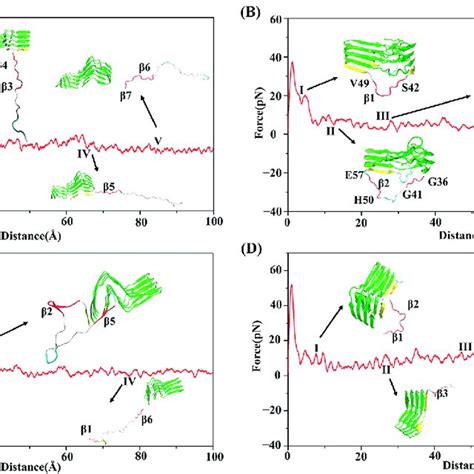 The Residue Interaction Network Analysis For Human Brain System The