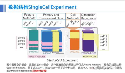 单细胞转录组实验流程 知乎 单细胞转录组实验流程 知乎