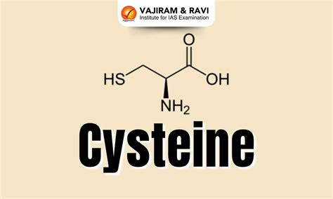 Cysteine Structure Treatment Importance Latest News