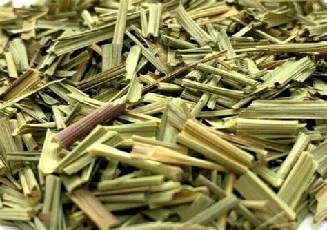 Green Lemongrass Cymbopogon Madician Packaging Size 40 Kg At ₹ 65