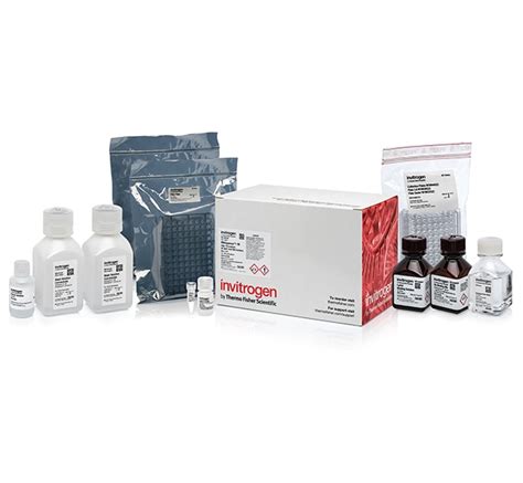 Invitrogen RNAqueous 96 Total RNA Isolation Kit Fisher Scientific