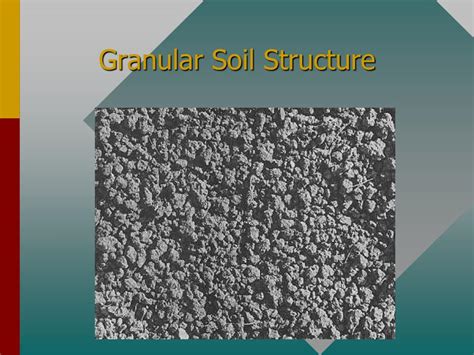Ppt Introduction To Soils Powerpoint Presentation Free Download Id