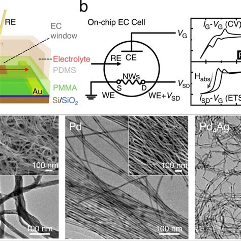 Working Principle Of On Chip Electrochemical And In Situ Electrical Download Scientific Diagram